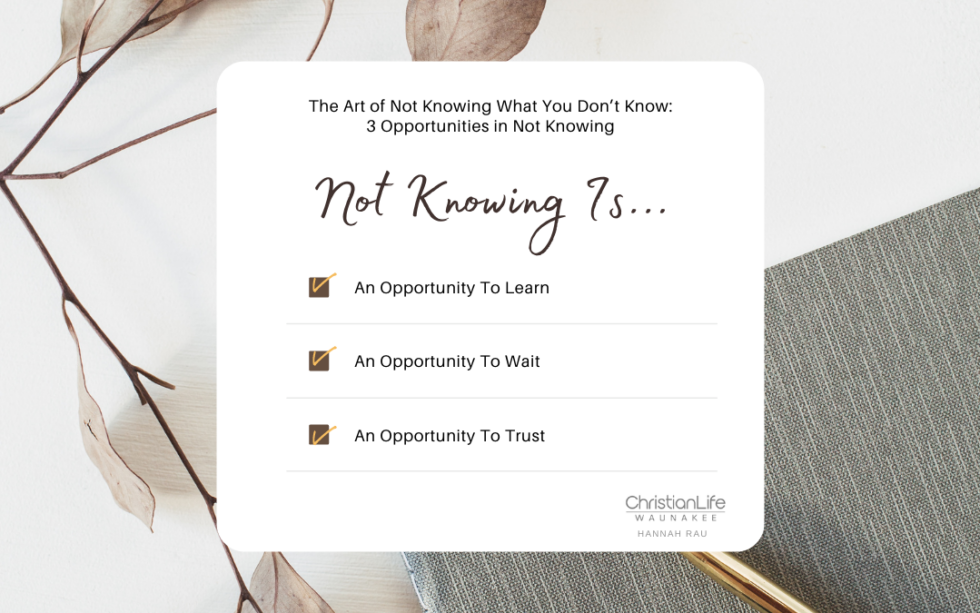 The Art of Not Knowing What You Don’t Know: 3 Opportunities in Not ...
